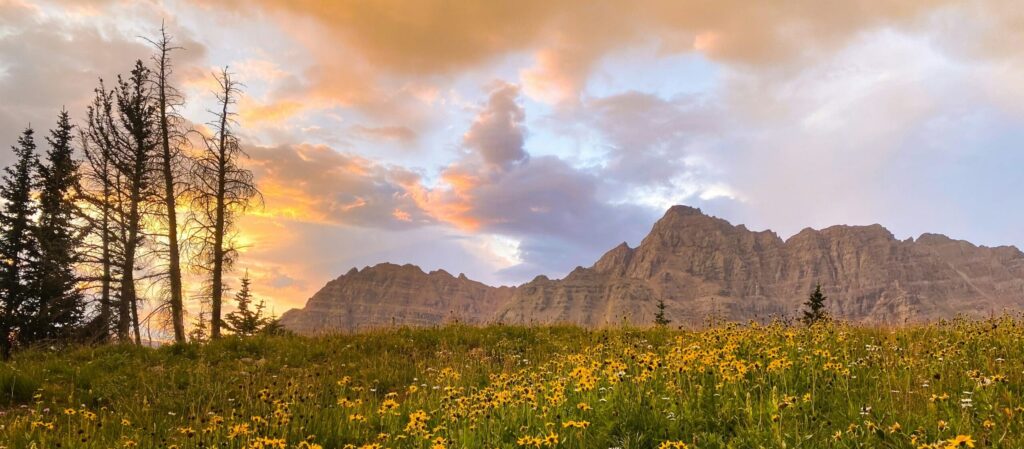 Aspen Wealth Management