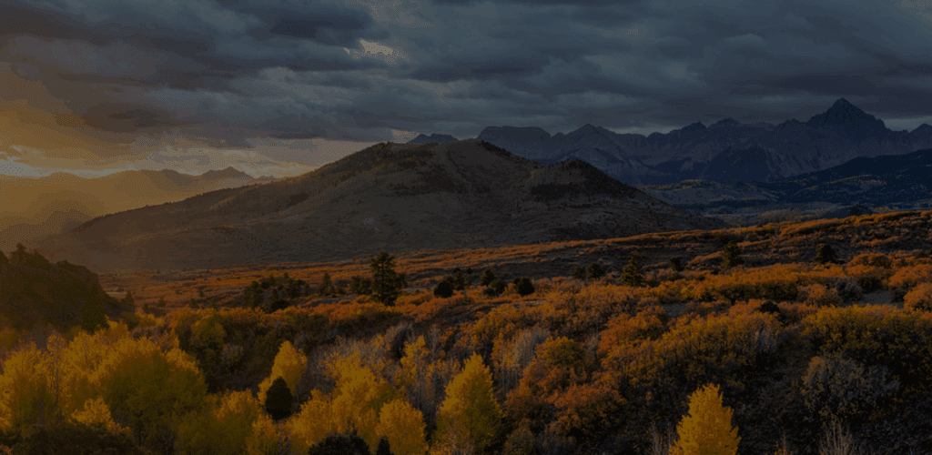 Fort Collins Fall Client Celebration